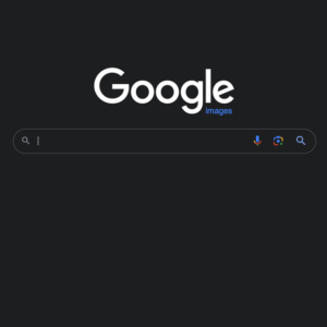 Twitter Reverse Image Search | TweetDelete