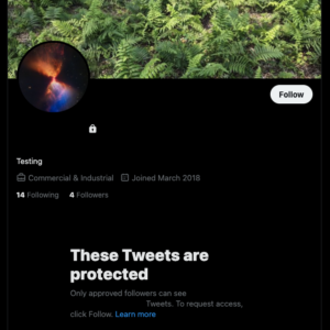 Deleted Tweets Archive | TweetDelete
